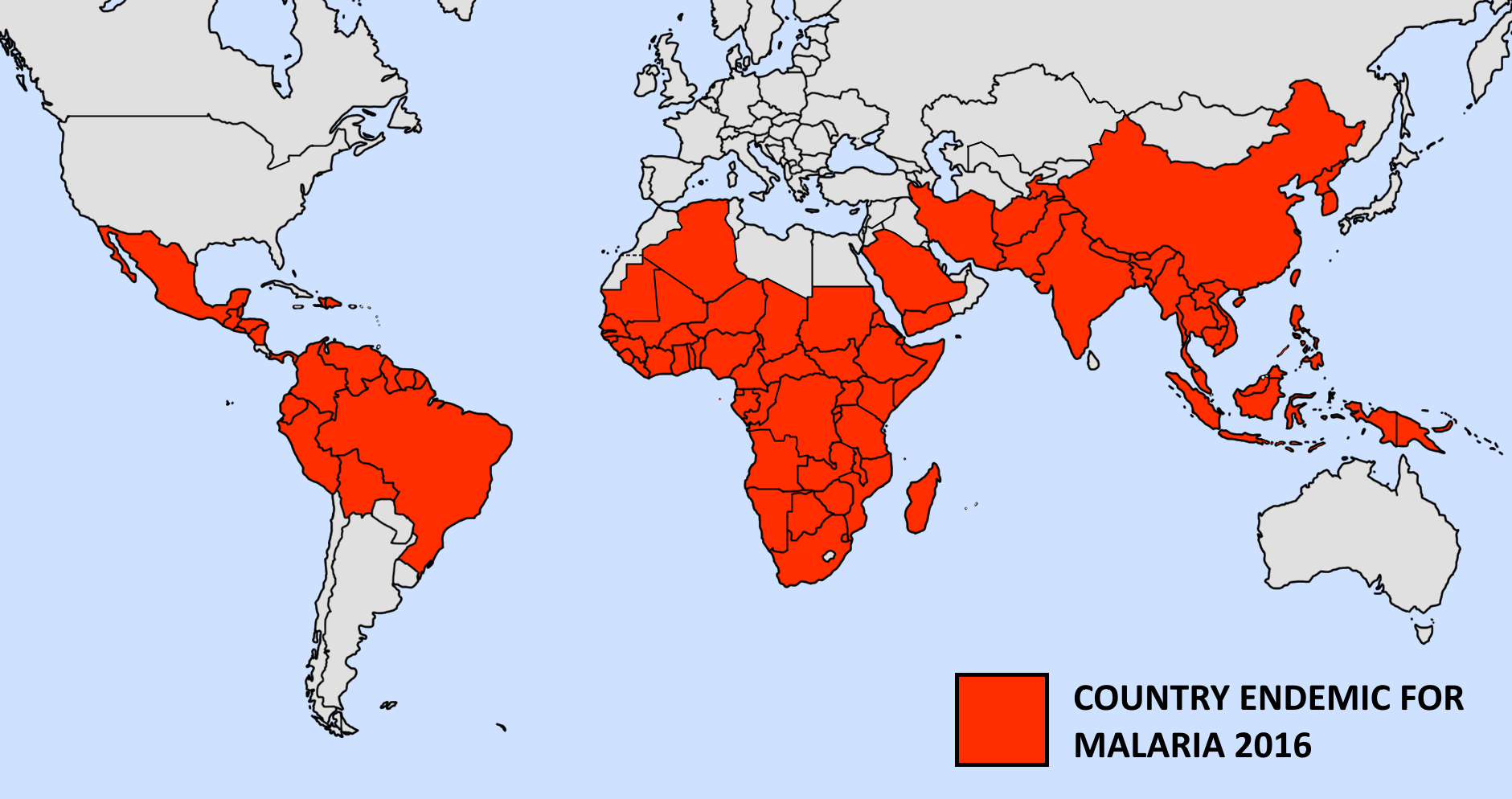 Mosquito-borne diseases: Where am I at risk? | First Aid Online