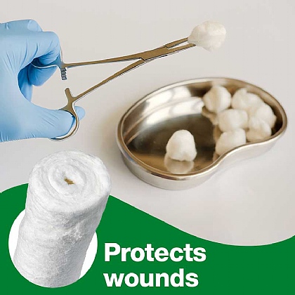 Cotton Wool and Swabs | Wound Care | First Aid Online